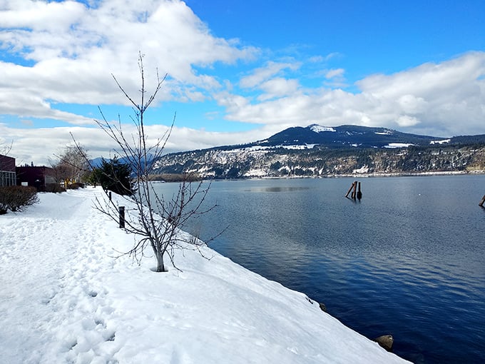 Winter transforms Hood River's waterfront into a serene landscape painting—snow, water, and mountains conspiring to create nature's perfect trifecta.