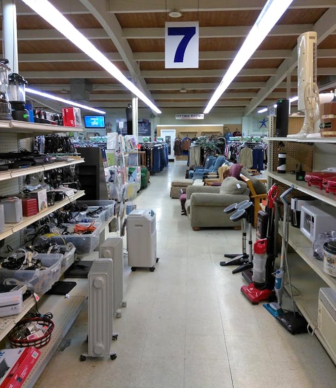 Section 7 beckons with its treasure-lined aisles—where yesterday's appliances and tomorrow's conversation pieces peacefully coexist.