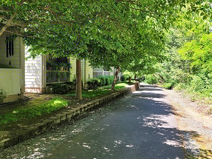 Tree-lined pathways where fallen leaves create nature's confetti. Here, your daily constitutional comes with a side of dappled sunlight and birdsong.
