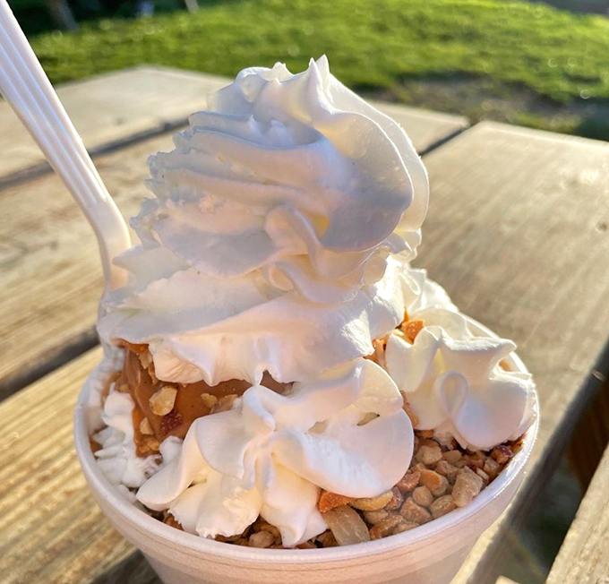 Architectural perfection in dairy form—soft serve swirled higher than your hopes, with toppings that make adult responsibilities momentarily disappear.