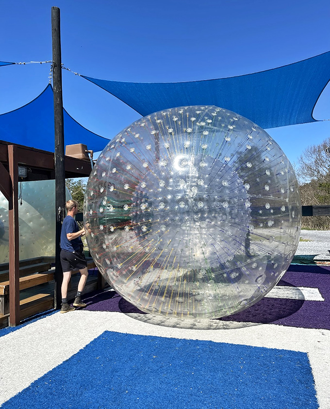 Not your average hamster ball! These 11-foot transparent spheres transform ordinary humans into extraordinary thrill-seekers with each roll.