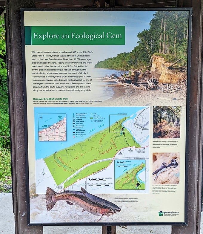 Maps don't just tell you where to go—they tell you why. This information board reveals Erie Bluffs' 11,000-year geological love story.