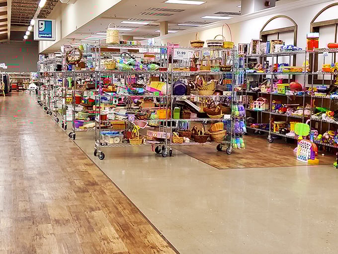 Organized chaos at its finest! Metal shelving units create a labyrinth of possibilities where one person's castoffs become another's conversation pieces.