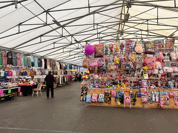 A quiet moment in toy wonderland. One person's childhood nostalgia is another's next great find, all waiting under the protective canopy of bargain heaven.