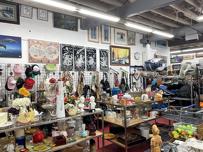 Inside The Council Shop, organized chaos becomes beautiful symphony of second-hand possibilities and vintage dreams come true. 