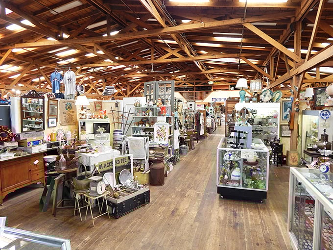 Wooden beams crisscross overhead like the framework of history itself, while below, aisles of memories wait for someone new to adopt them.