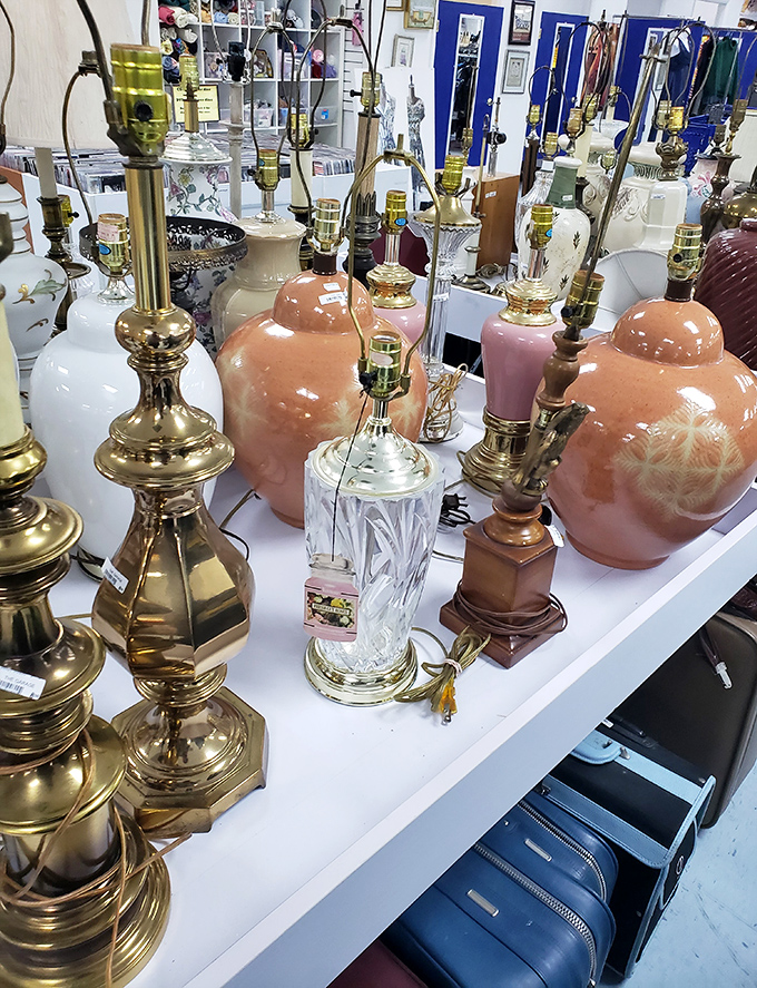 The lamp section glows with potential—each one telling a story of dinner parties past and ready for its second act in your living room. 
