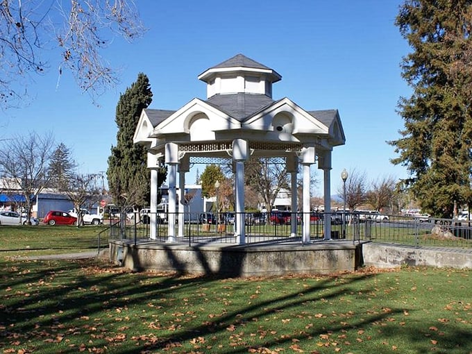 This elegant gazebo has witnessed countless summer concerts, first kisses, and community gatherings—the beating heart of Library Park.