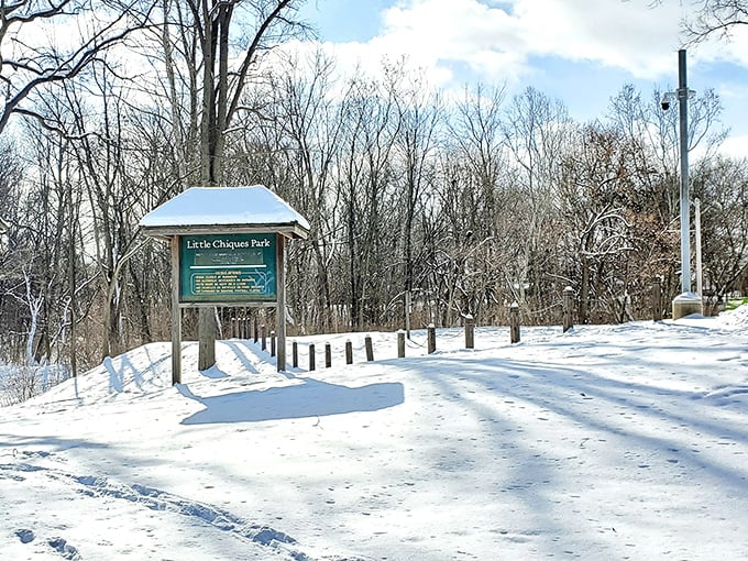 Little Chiques Park under winter's blanket transforms into a serene wonderland where the only sound is the satisfying crunch of snow beneath your boots.