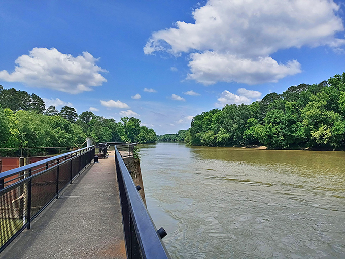 The riverfront walkway offers a front-row seat to nature's daily performance – no tickets required, just bring your appreciation for peaceful waters.