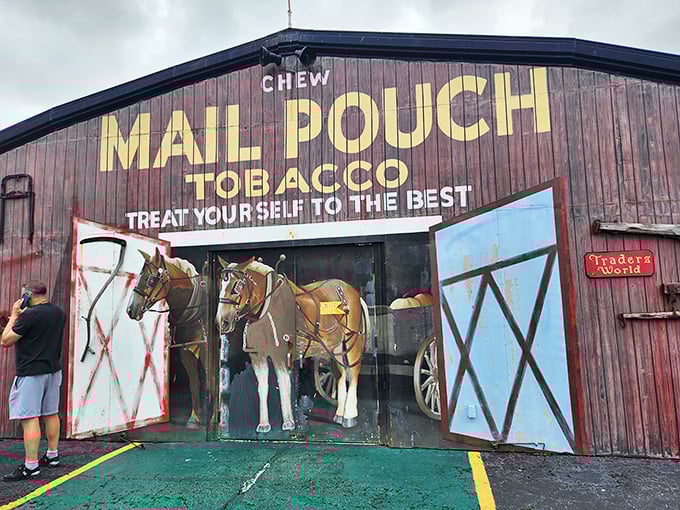 This Mail Pouch Tobacco display captures America's rural past, complete with horse-drawn nostalgia that would make Norman Rockwell reach for his paintbrush.