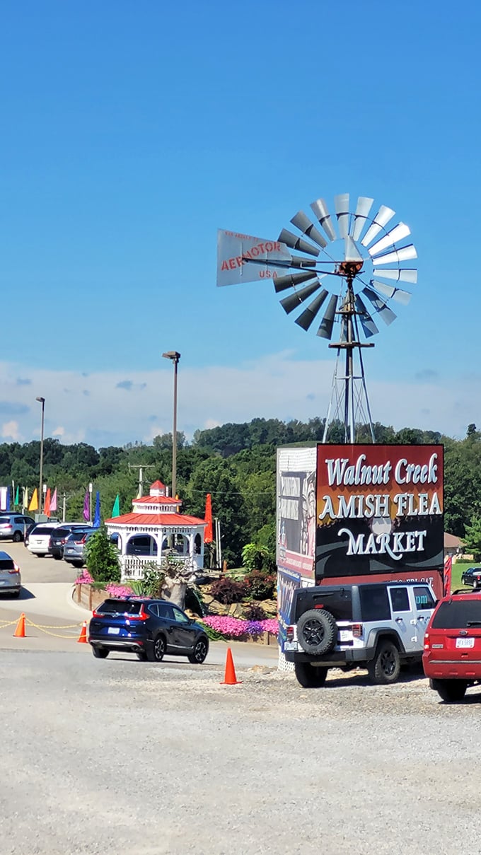That windmill isn't just for show—it's practically shouting "Amazing deals this way!" to everyone driving by on a sunny day.