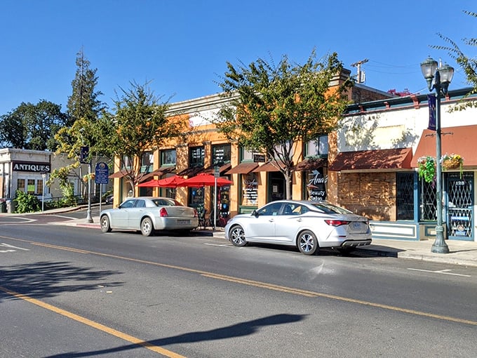 Main Street's charm isn't manufactured—it's the real deal, where local shops have actual owners who remember your name and your coffee order.