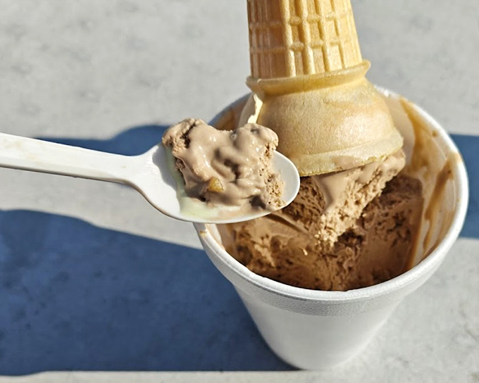 Maple Walnut ice cream that doesn't whisper sweetness—it announces it with a creamy megaphone and nutty backup singers.