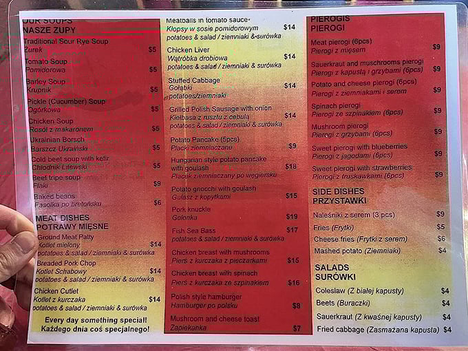 This menu reads like a love letter to Polish cuisine. Decision paralysis has never been so delicious.