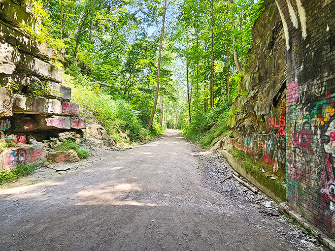 Nature slowly reclaims what humans abandoned, creating a hauntingly beautiful frame for the tunnel's stone archway.