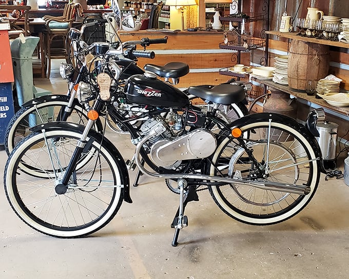 Not just any motorcycle—this vintage beauty sits like mechanical royalty among everyday items, a reminder that some things improve with age.