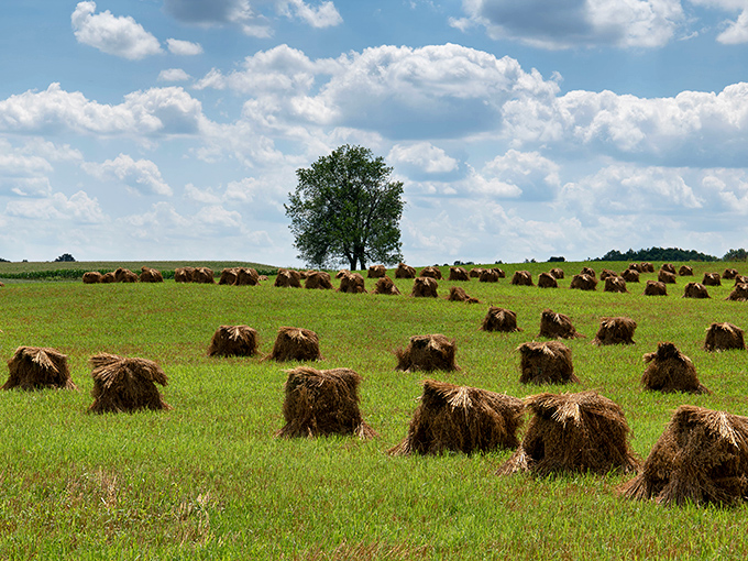 Hand-stacked hay bales dot the landscape like nature's own chess pieces, creating a patchwork quilt no Instagram filter could improve.