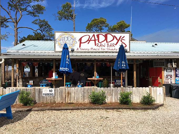 "A Sunny Place for Shady People" isn't just clever marketing—it's Paddy's Raw Bar's honest promise of cold drinks, fresh oysters, and zero pretension.