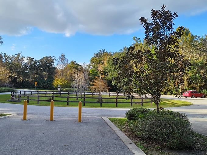 Your GPS brought you here for a reason – welcome to Florida's best-kept secret.