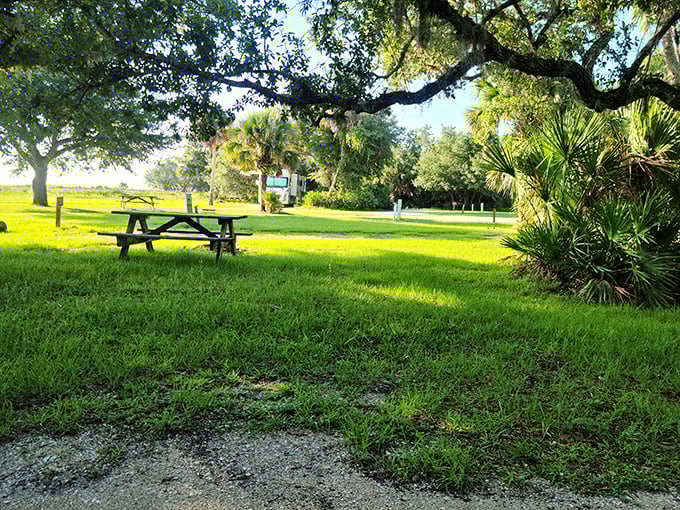 Picnic tables under ancient oaks—where lunch comes with a side of dappled sunlight and birdsong.