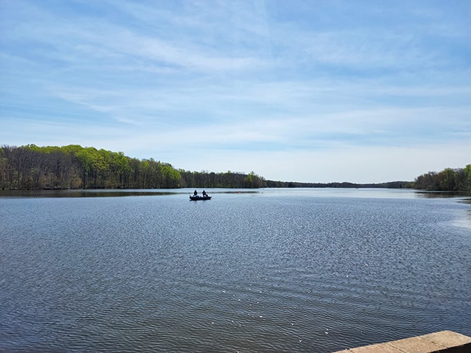 A lone boat drifts across Pinchot Lake's 340-acre canvas, where the only traffic jam involves a family of ducks claiming right of way.