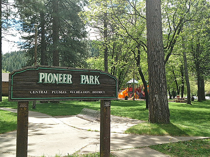 Pioneer Park doesn't need fancy amenities to create magic—just towering pines, dappled sunlight, and the laughter of children who haven't discovered screen time.