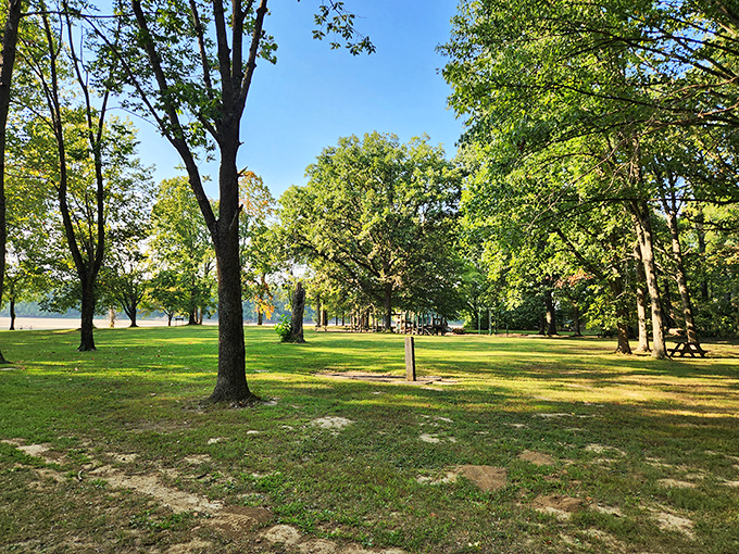 Sometimes paradise is just a picnic table under ancient trees, where generations of families have spread their checkered cloths and shared their stories.