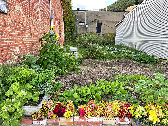 This pocket garden between brick buildings proves that Pomeroy residents can grow beauty anywhere, turning forgotten spaces into vibrant green retreats.