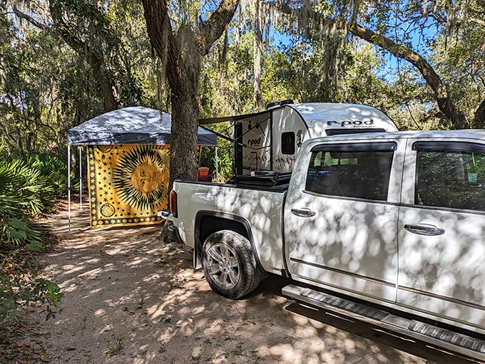 Camping Florida-style: where Spanish moss drapes overhead like nature's canopy and your morning coffee comes with a soundtrack of birdsong.