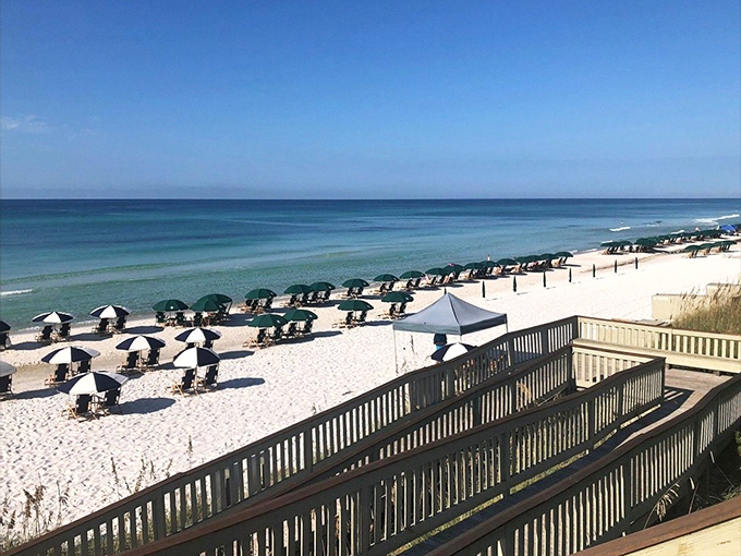 That water isn't Photoshopped—the Gulf really is that impossibly blue-green shade that makes you question why you live anywhere else.