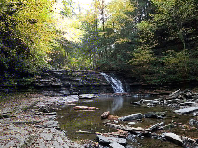 This tranquil pool below the falls invites contemplation—or wild splashing, depending entirely on your mood and whether you remembered to pack dry socks.