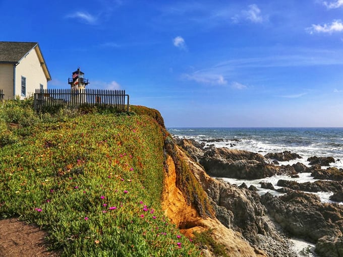 Nature's perfect balcony: wildflowers carpet the cliff edge while waves battle the rocks below. This view alone is worth the trip to Montara.