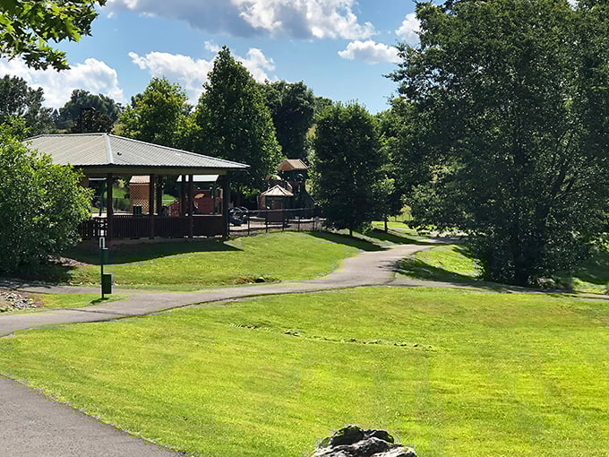 Green space that doesn't require a second mortgage to enjoy. Stage Road Park offers peaceful moments where the only notification is birdsong.