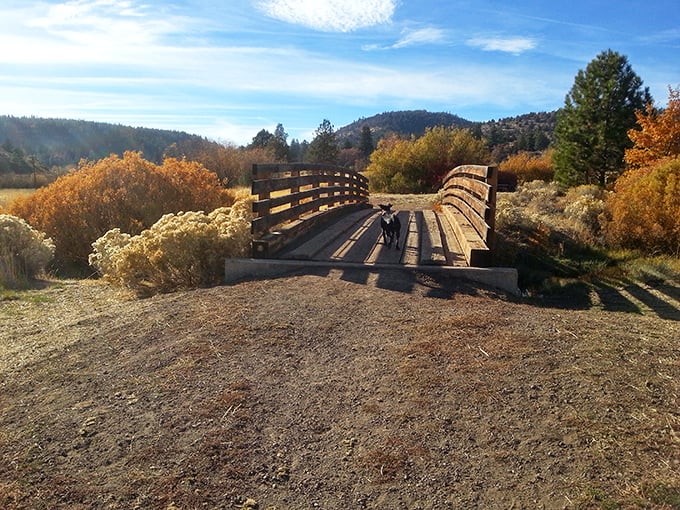 Nature's autumn palette puts on a show at this wooden footbridge in Susanville Ranch Park, where golden foliage frames hiking trails perfect for post-retirement adventures.