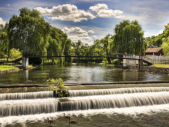 Talleyrand Park's waterfall creates the kind of peaceful soundtrack that makes you forget your phone exists for a while.
