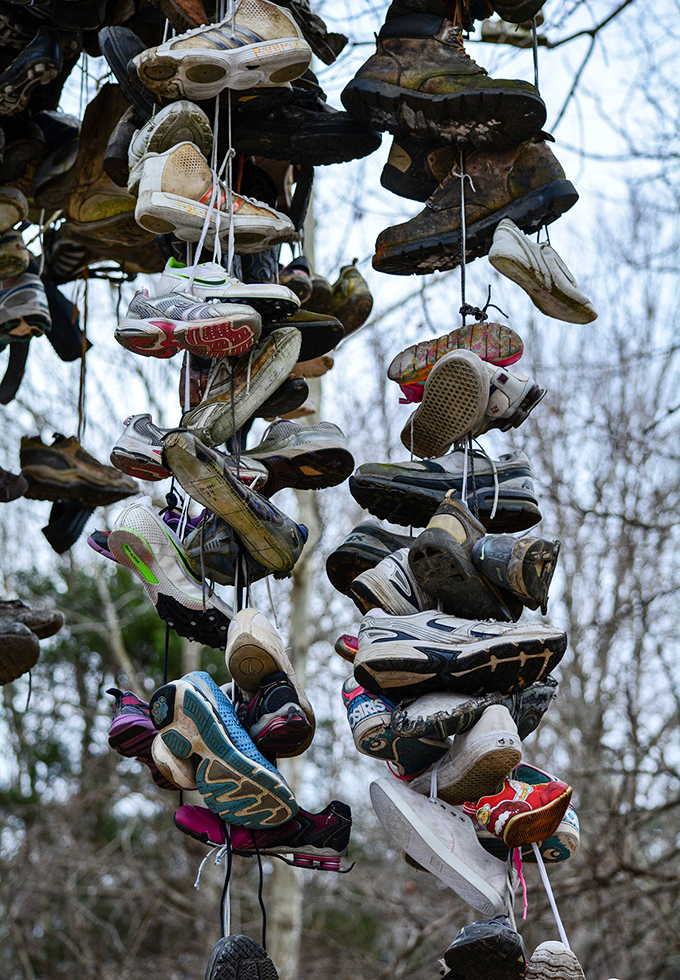 A dizzying collection of athletic shoes creates an oddly mesmerizing pattern, like a sneakerhead's dream caught in arboreal amber.