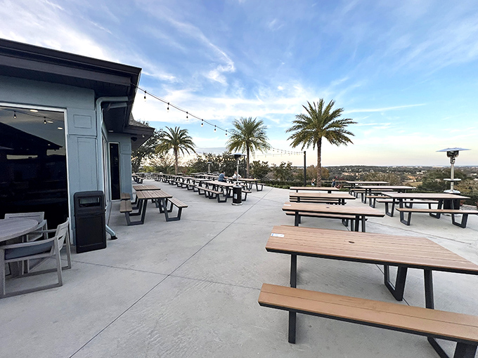 Rooftop dining with palm trees and endless views? This isn't just a meal—it's Florida showing off what "dinner with a view" really means.