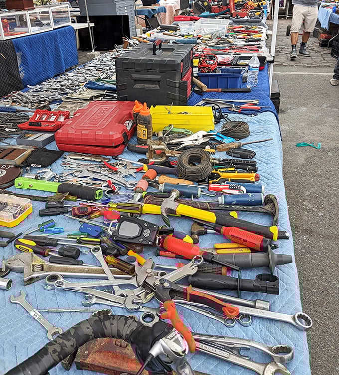 Tool heaven for the DIY enthusiast – where wrenches, pliers, and mystery gadgets await their second chance at usefulness.
