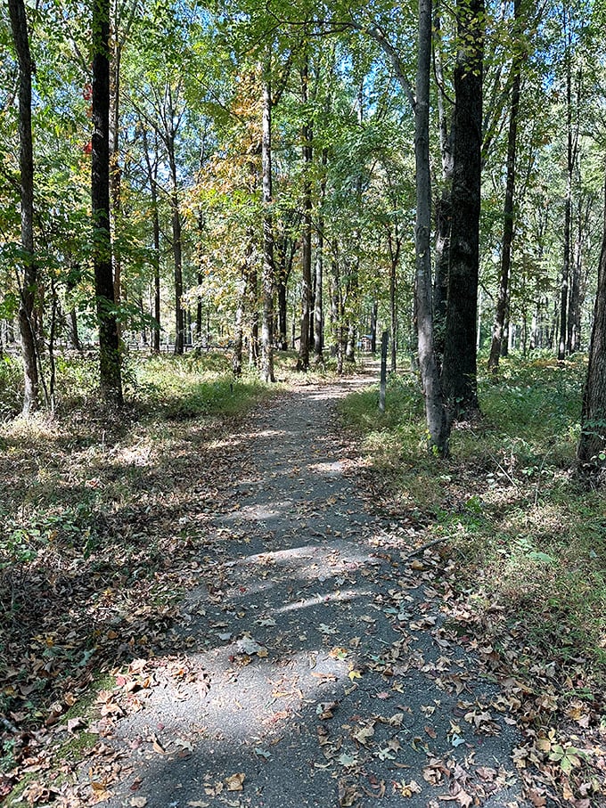 This unassuming trail might not make the cover of Hiking Magazine, but it offers something better—a genuine slice of Tennessee tranquility.