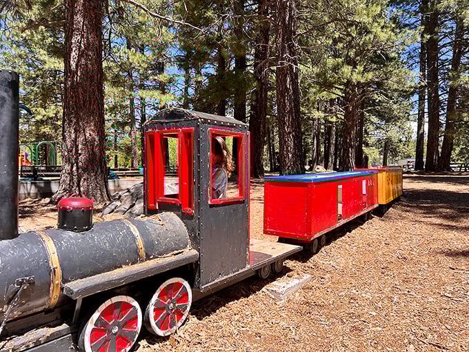 All aboard the nostalgia express! This charming playground train delights the young and the young-at-heart in Truckee's pine-scented parks.