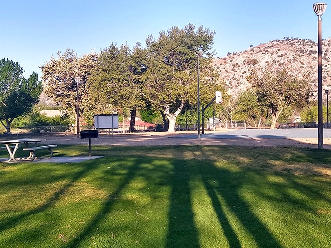 This park's grassy expanse offers the perfect respite after a day on the lake—where shadows stretch longer than your retirement savings.