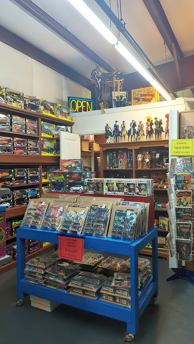 A nostalgic time capsule of pop culture where vintage cowboys, superheroes, and comic books transport collectors back to Saturday mornings of their youth.