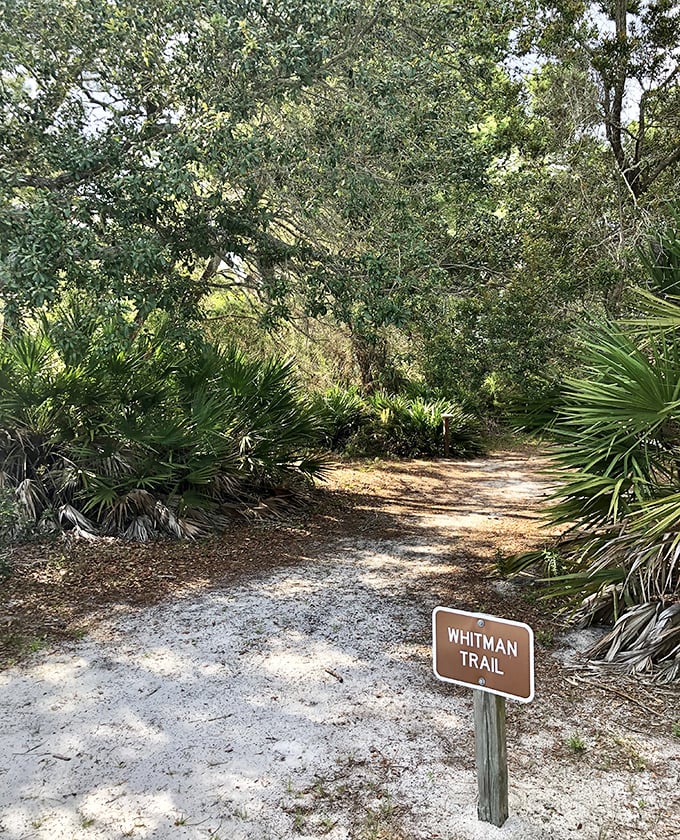 The Whitman Trail beckons like a scene from "The Yearling," promising adventure through a tunnel of native Florida vegetation.