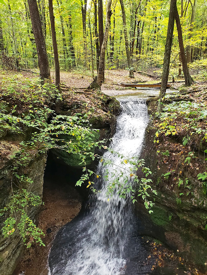 A gentle woodland waterfall creates nature's perfect white noise machine—the kind you'd pay $79.99 for at Brookstone.