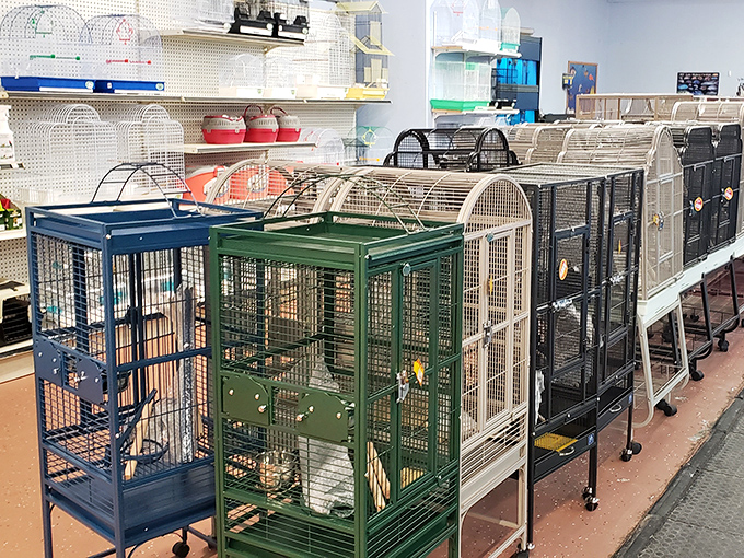 Not just cages, but future homes for feathered companions. The pet section offers everything from basic habitats to avian penthouses.