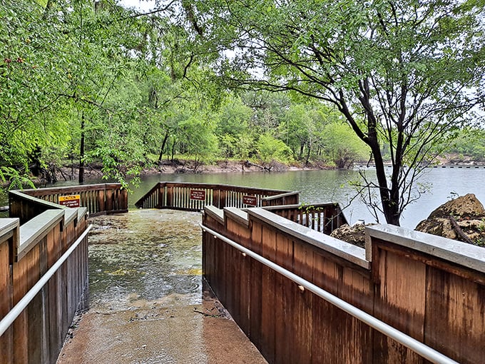 This wooden boardwalk isn't just a path to the water—it's the runway for your grand entrance into one of Florida's most spectacular natural swimming pools.