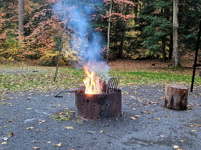 Primal entertainment at its finest—a crackling campfire surrounded by fall foliage. No Netflix subscription required for this timeless show of dancing flames.
