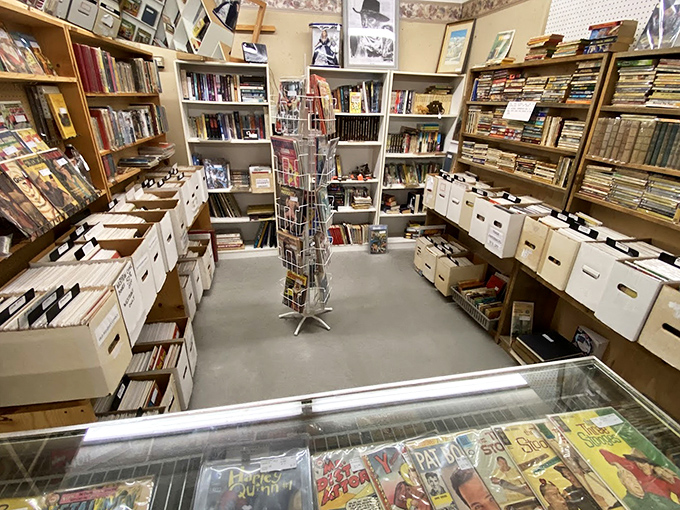 A bibliophile's dream come true—where forgotten stories wait patiently on shelves for someone new to fall in love with their pages.