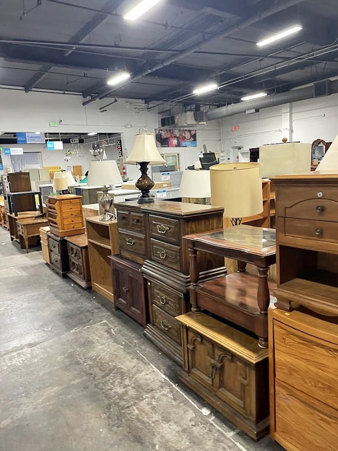 Cabinet heaven stretches endlessly, each piece whispering promises of organized kitchens and clutter-free lives at bargain prices.